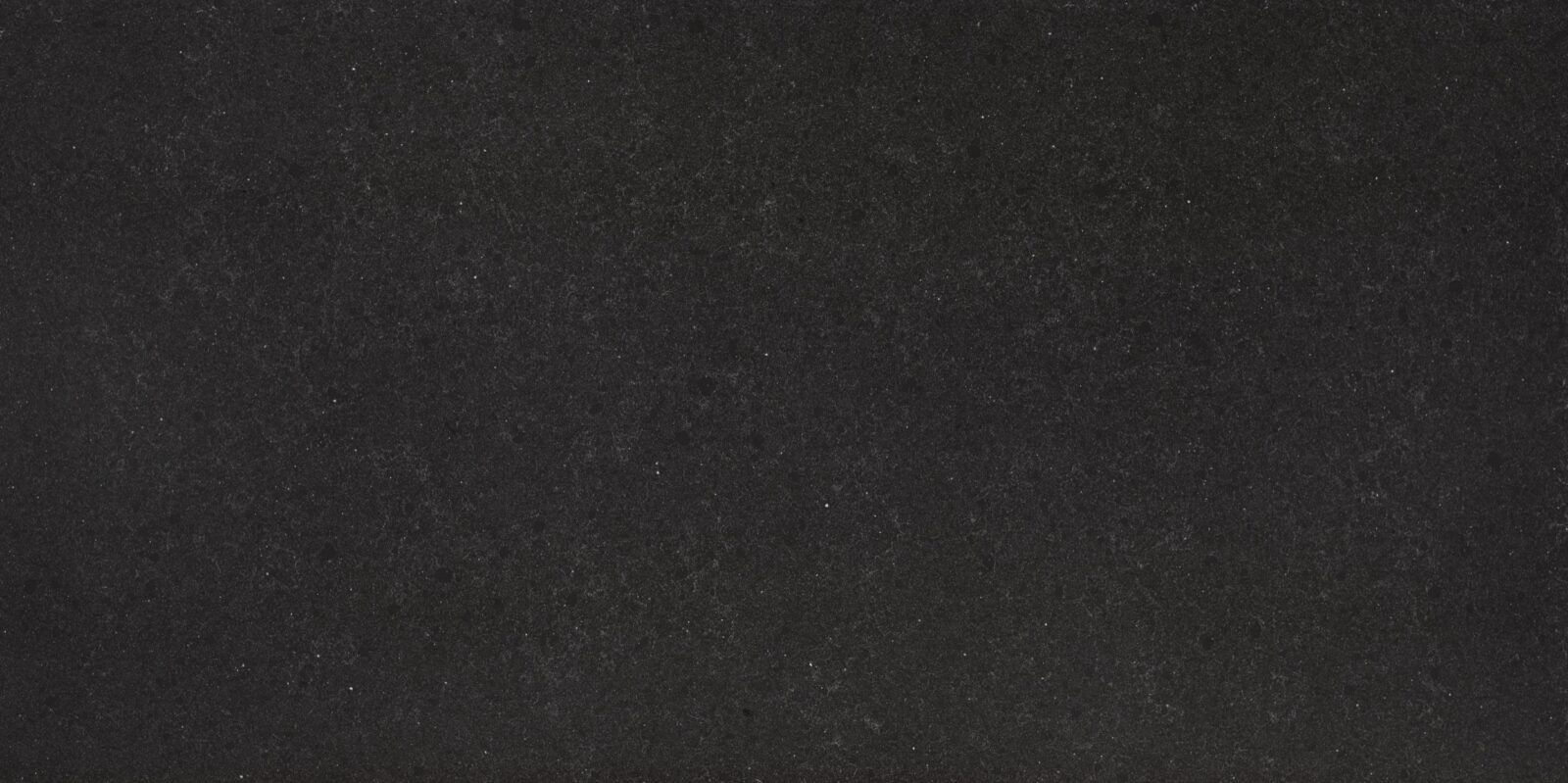 Belgian Blue (BU007) - Diresco