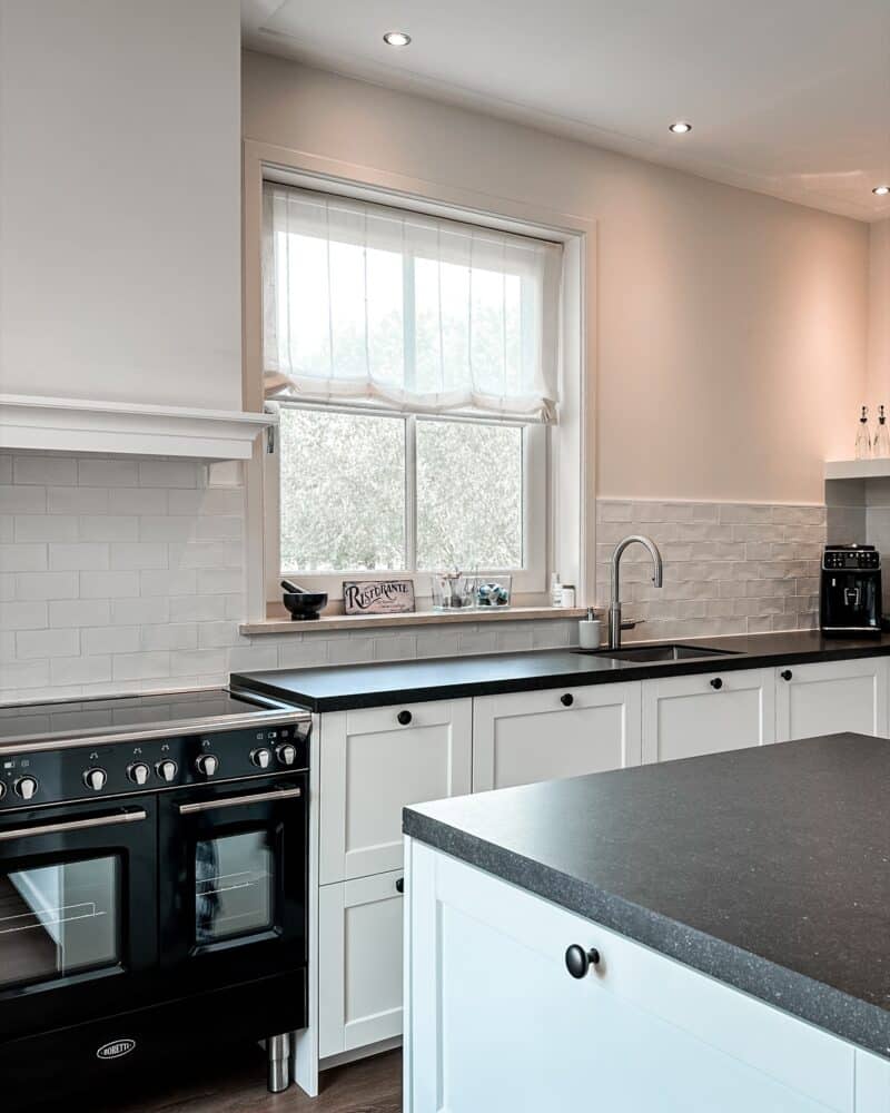 Belgian Blue (BU007) - Diresco